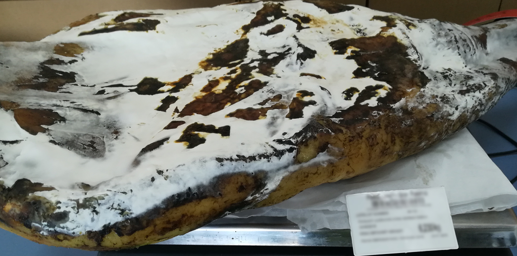 Por qué hay que conservar el jamón colgado y sin funda